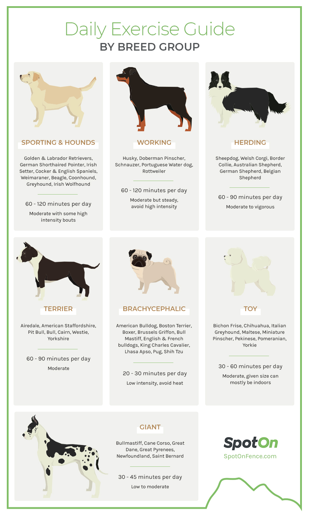 What Counts As Exercise For A Dog What Counts As Exercise For A Dog